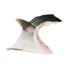 Fish Collars | Bones & Collars | Pierless Fish