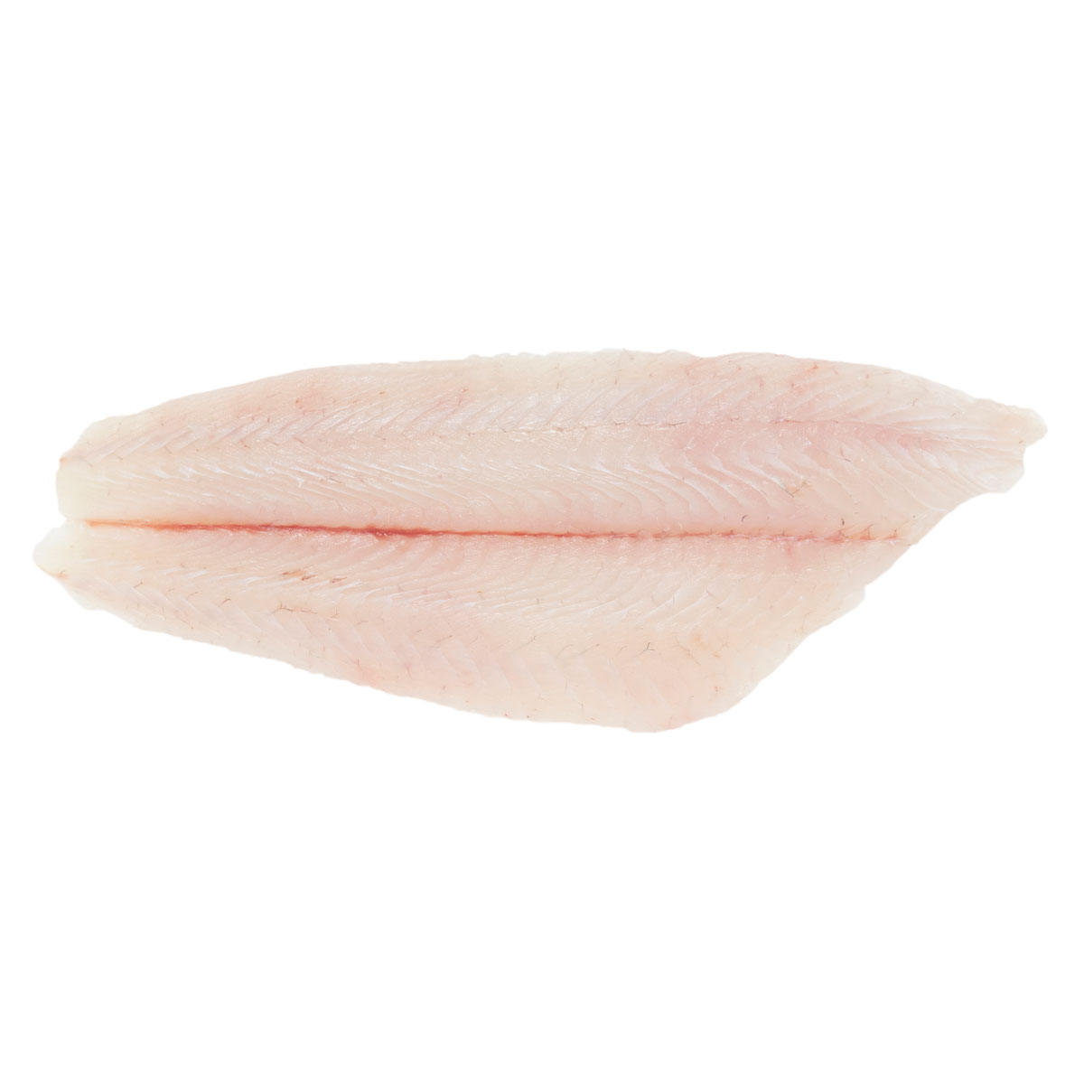 Skin Off Wild Long Island Fluke Filets | Long Island Fluke | Pierless Fish