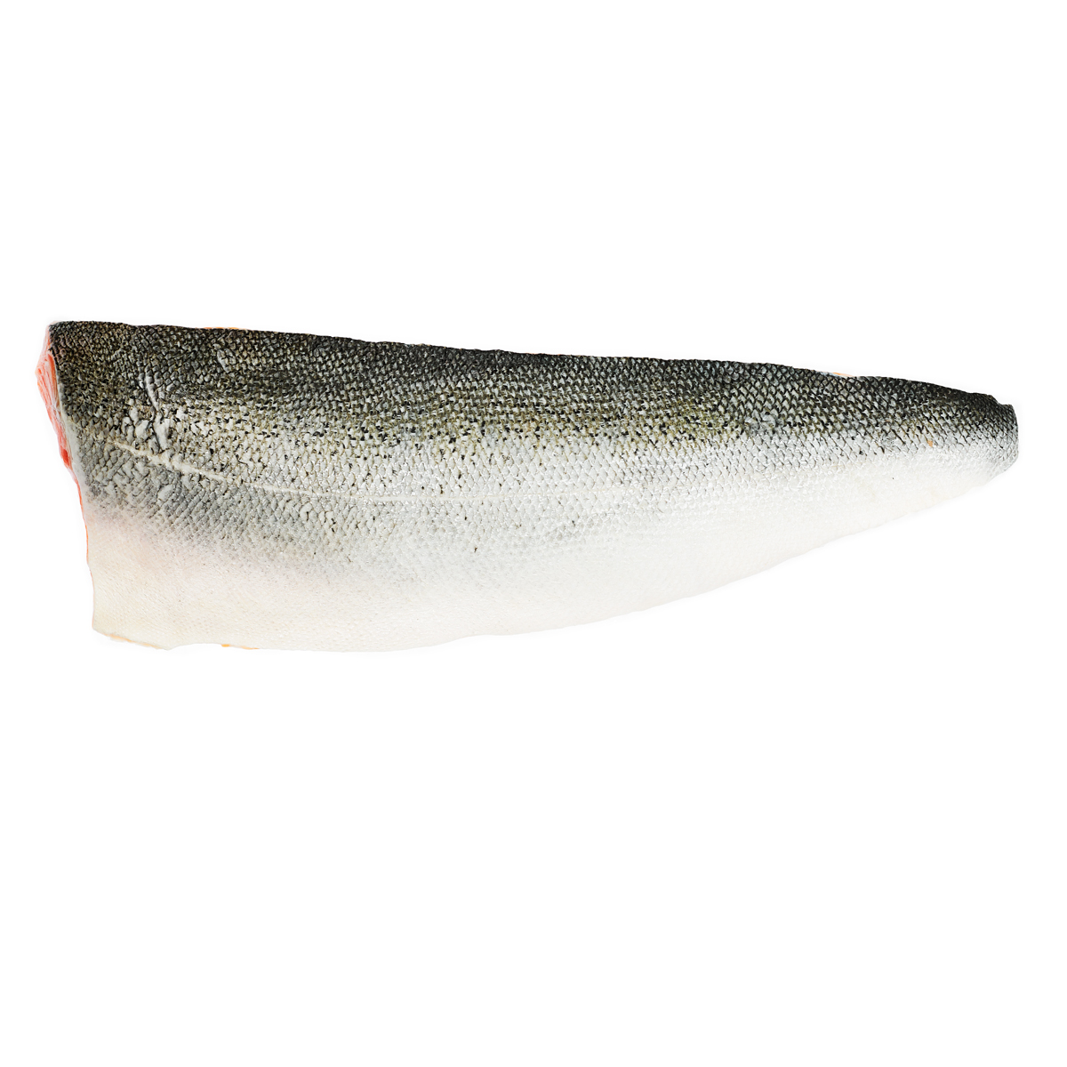Skin On Pinbone Out Farmed Scottish Salmon Filet | Scottish Salmon ...