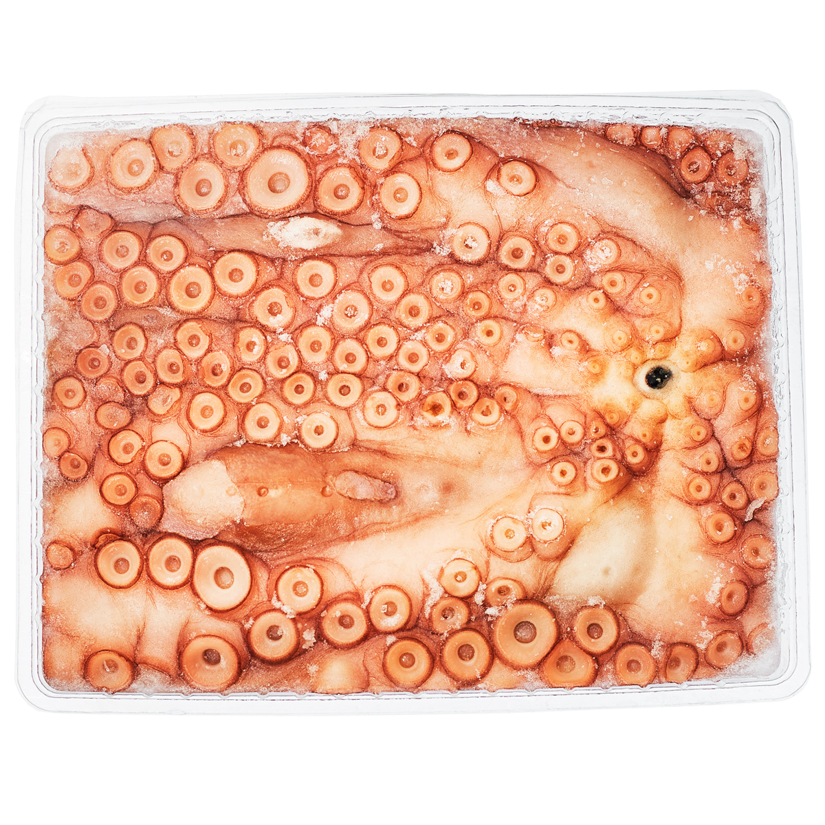 Whole Wild Octopus | Whole Octopus | Pierless Fish