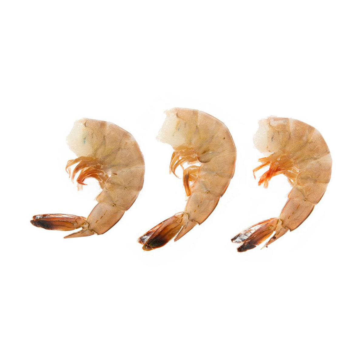 Shell On Wild 16-20 Shrimp | 16-20 Shrimp | Pierless Fish